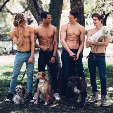 Donovan Michaels aka Brandon Foster is a Pretty Face with a Nice D*ck ...